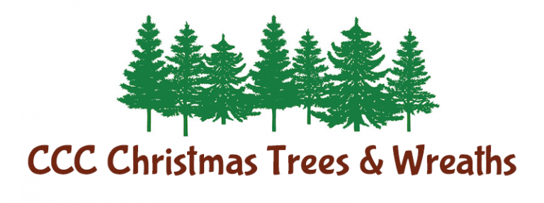 CCC Christmas Trees & Wreaths – Central Congregational Church UCC
