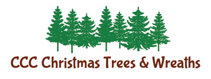 CCC Christmas Trees & Wreaths – Central Congregational Church UCC